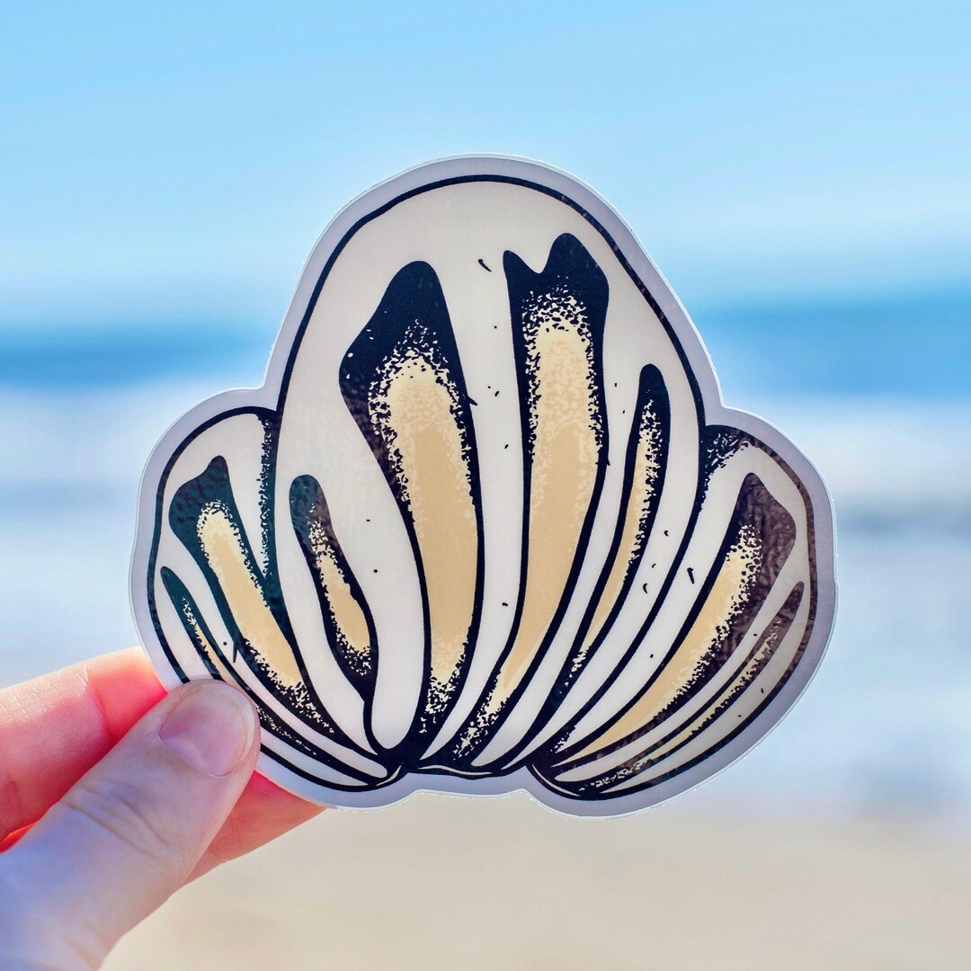 Wavy Turban Operculum Vinyl Sticker // Beachcombing, Beach, Shelling ...
