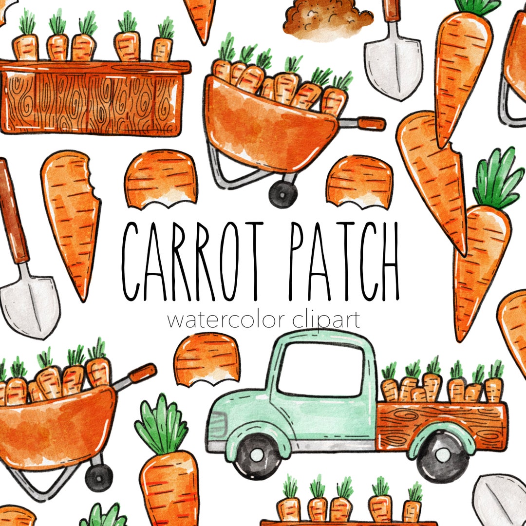 Commercial Use Carrot Patch Clipart Set 300 DPI Transparent Background ...