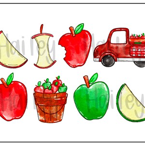 Commercial Use Apple Clipart Set 300 DPI Transparent Background - Etsy