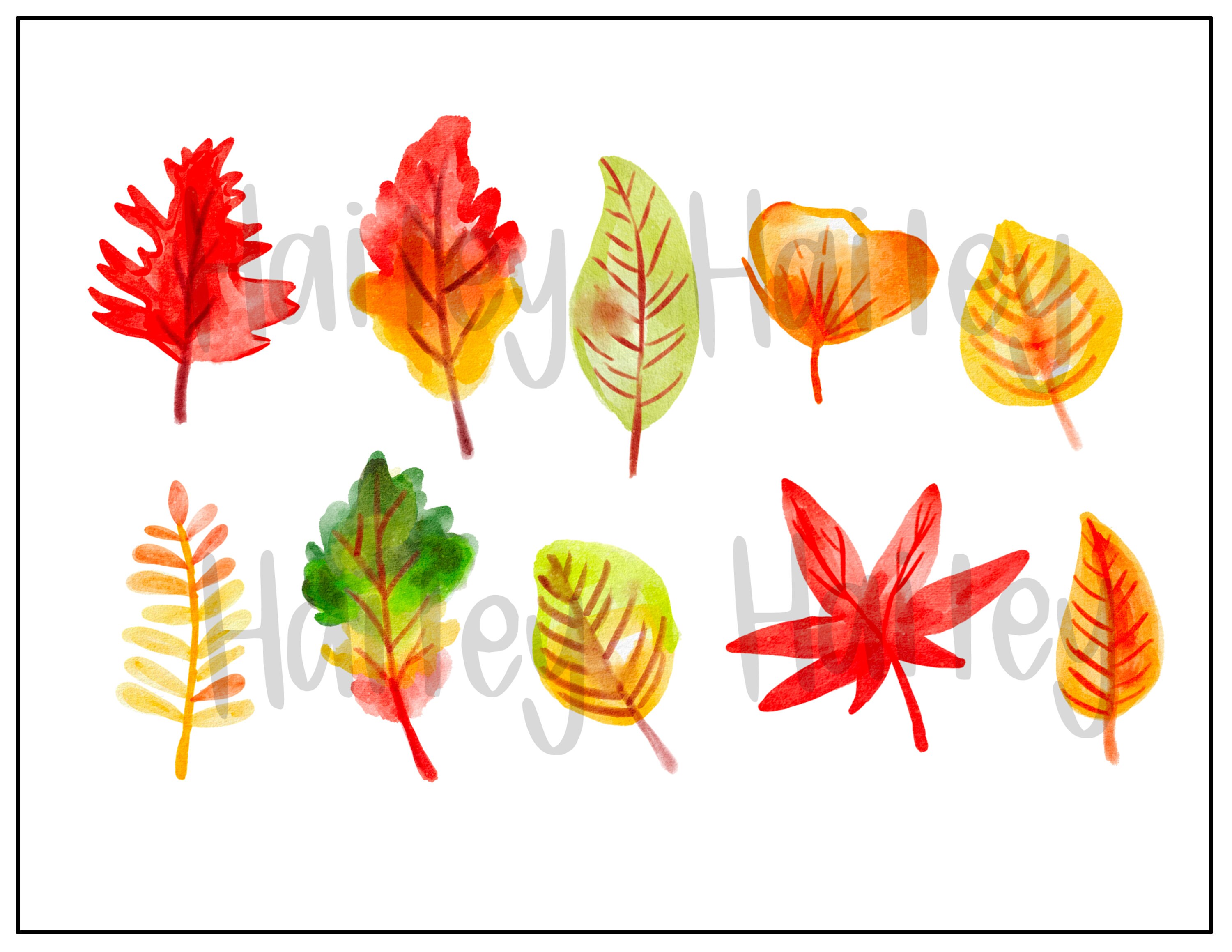 Commercial Use Fall Leaves Clipart Set 300 DPI Transparent Background ...