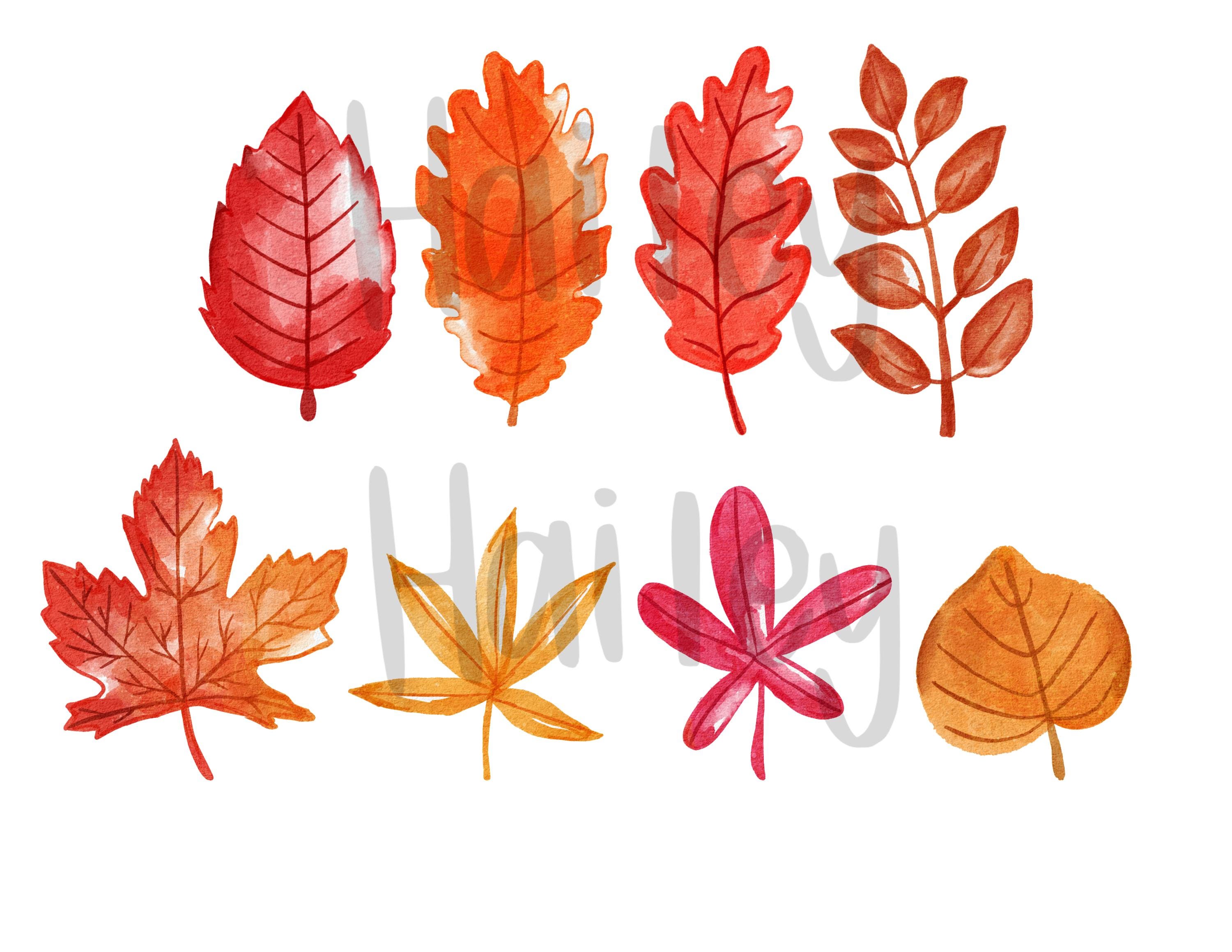 Commercial Use Fall Leaves Clipart Set 300 DPI Transparent Background ...