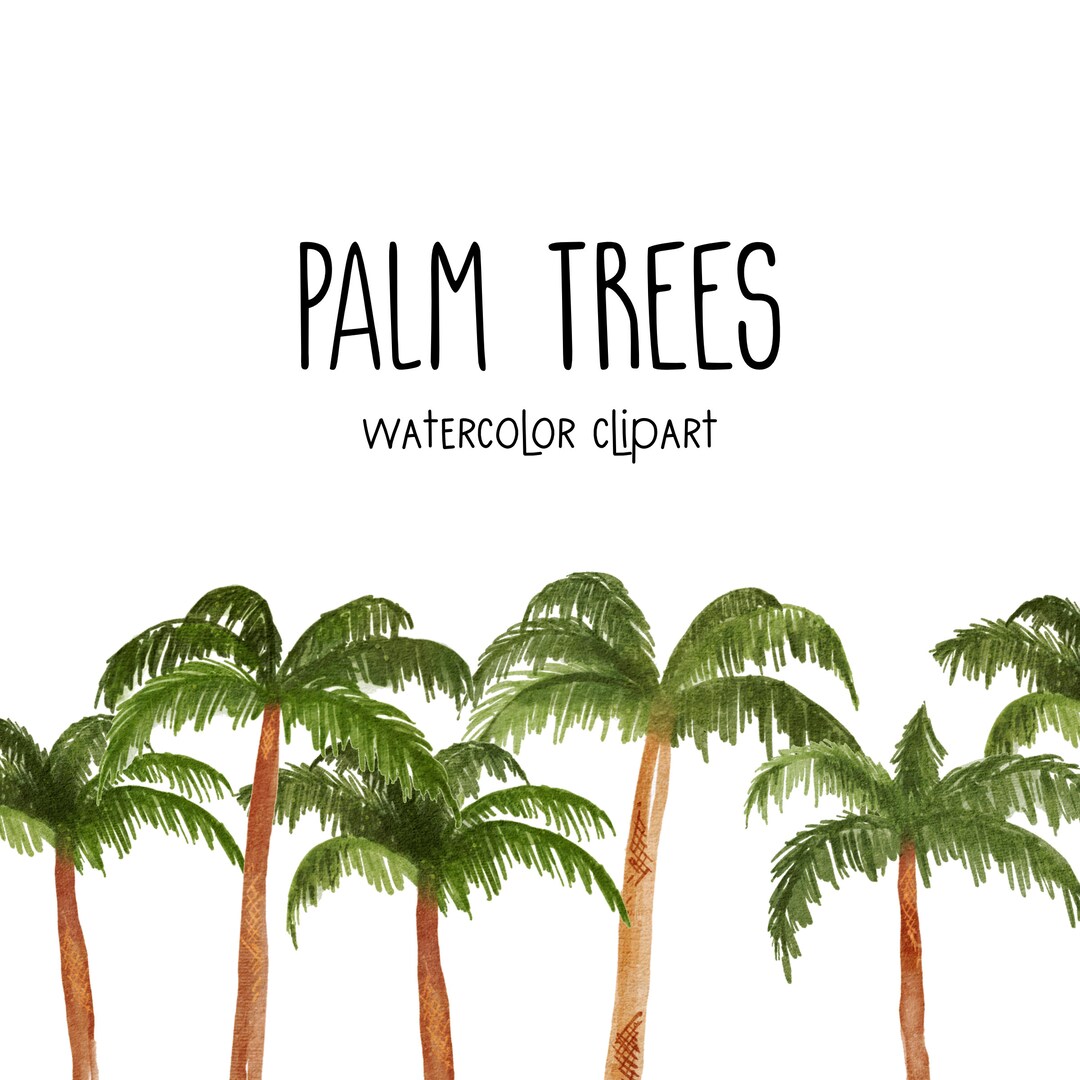 Commercial Use Palm Tree Clipart Set 300 DPI Transparent Background - Etsy