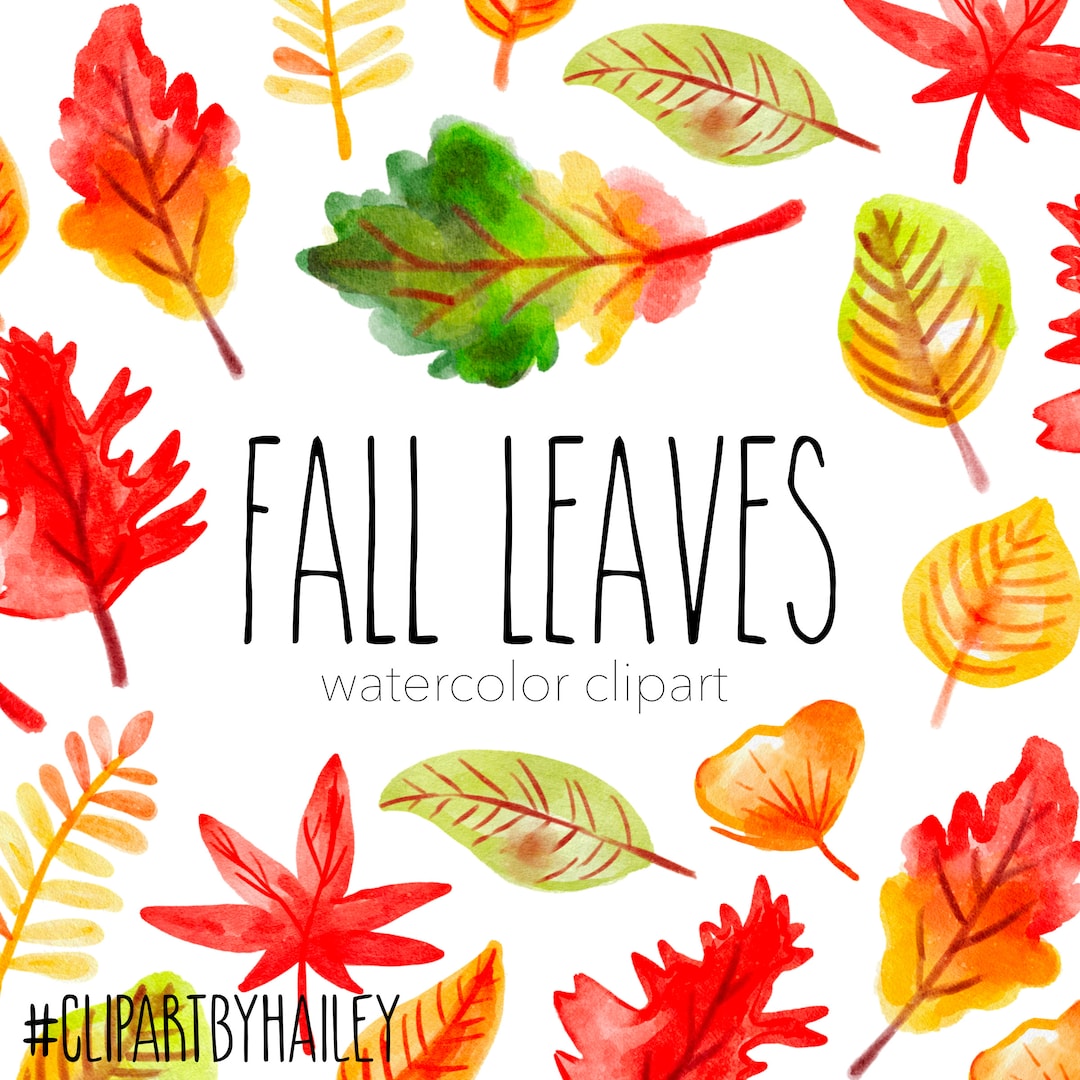 Commercial Use Fall Leaves Clipart Set 300 DPI Transparent Background ...