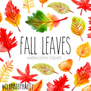 Commercial Use Fall Leaves Clipart Set 300 DPI Transparent Background ...