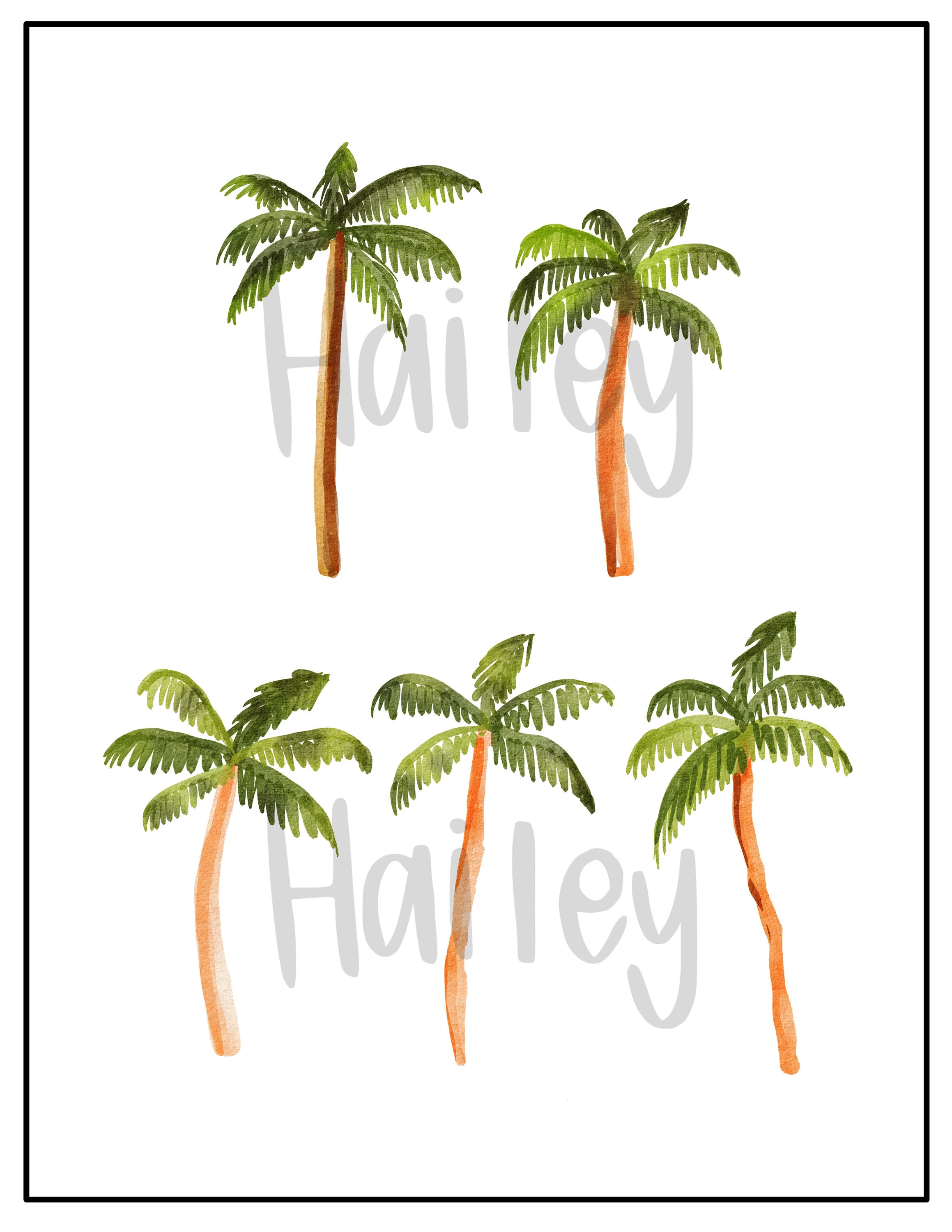 Commercial Use Palm Tree Clipart Set 300 DPI Transparent Background - Etsy