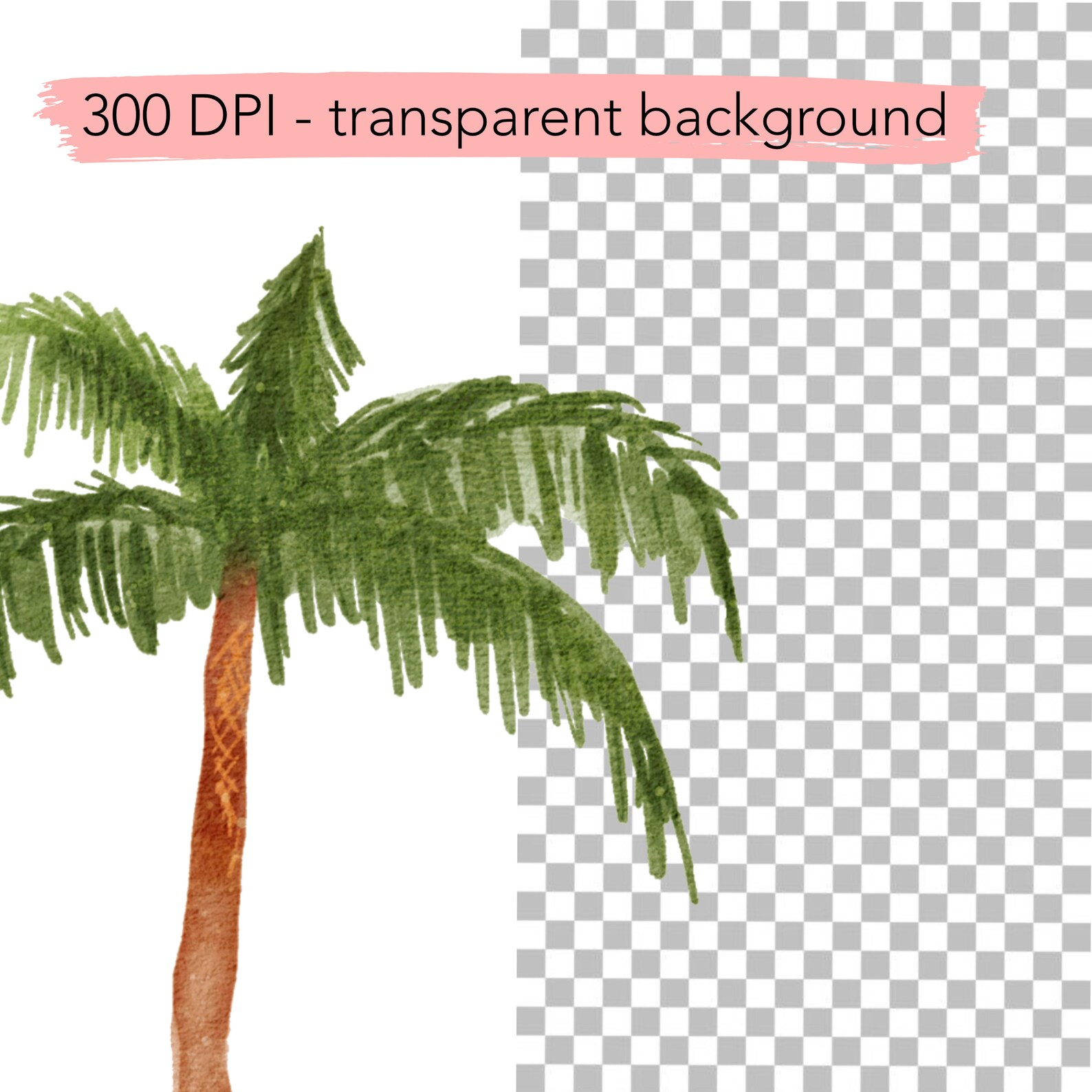 Commercial Use Palm Tree Clipart Set 300 DPI Transparent Background - Etsy