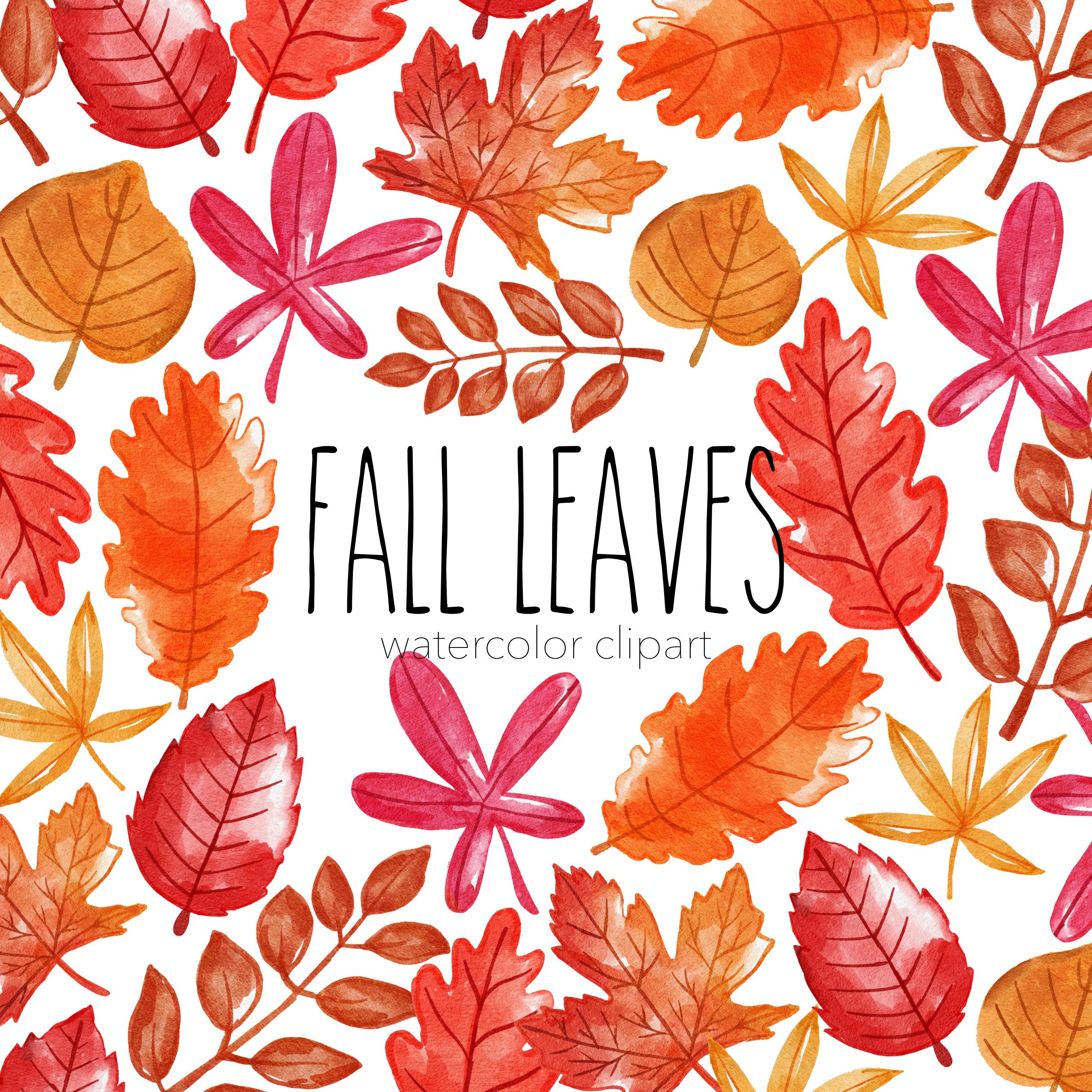 Commercial Use Fall Leaves Clipart Set 300 DPI Transparent Background ...