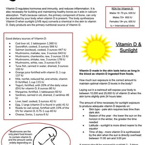 60+ Editable Google Doc Dietitian Nutritionist Handout Templates ...