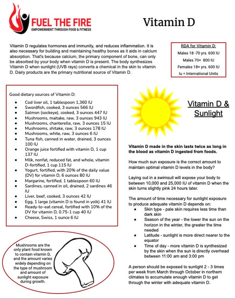 60+ Editable Google Doc Dietitian Nutritionist Handout Templates ...