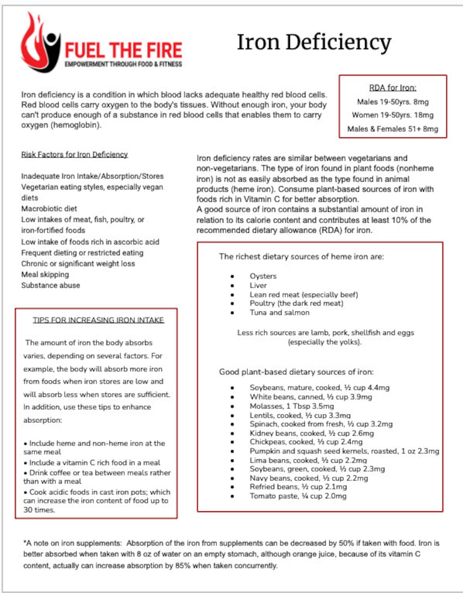 60+ Editable Google Doc Dietitian Nutritionist Handout Templates ...