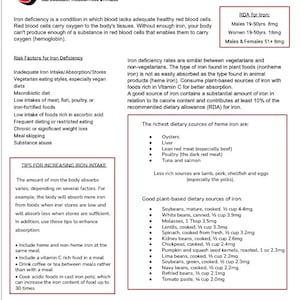 60+ Editable Google Doc Dietitian Nutritionist Handout Templates ...