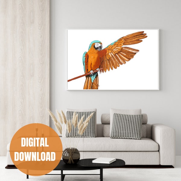 Macaw Poster - Etsy