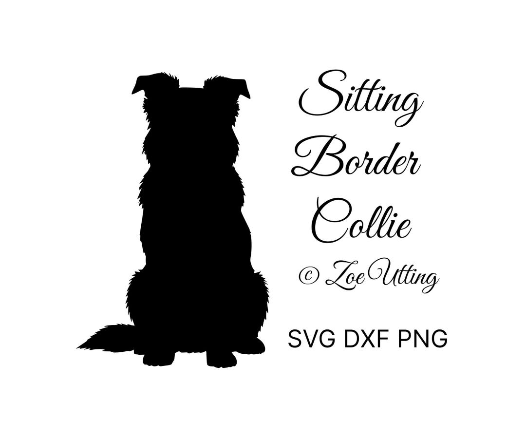 Border Collie Silhouette: Dog SVG, PNG, DXF Cut File (digital Download ...