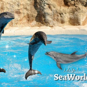 Editable SEAWORLD Surprise Trip Reveal Gift Template. Saeworld Parks ...