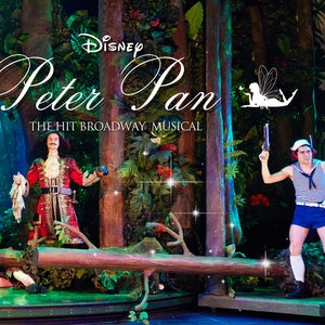 Editable DISNEY PETER PAN Surprise Reveal Event Gift Template. Disney ...