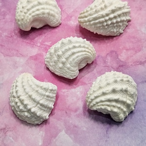 Spiny Jewel Box Shells - Arcinella Cornuta - Etsy