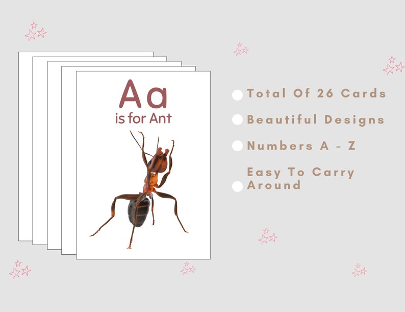 Printable Animal Alphabet Flashcards Preschool Alphabet Flash - Etsy