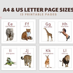 Printable Animal Alphabet Flashcards Preschool Alphabet Flash - Etsy