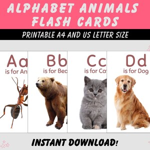 Printable Animal Alphabet Flashcards Preschool Alphabet Flash - Etsy