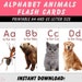 Printable Animal Alphabet Flashcards Preschool Alphabet Flash - Etsy