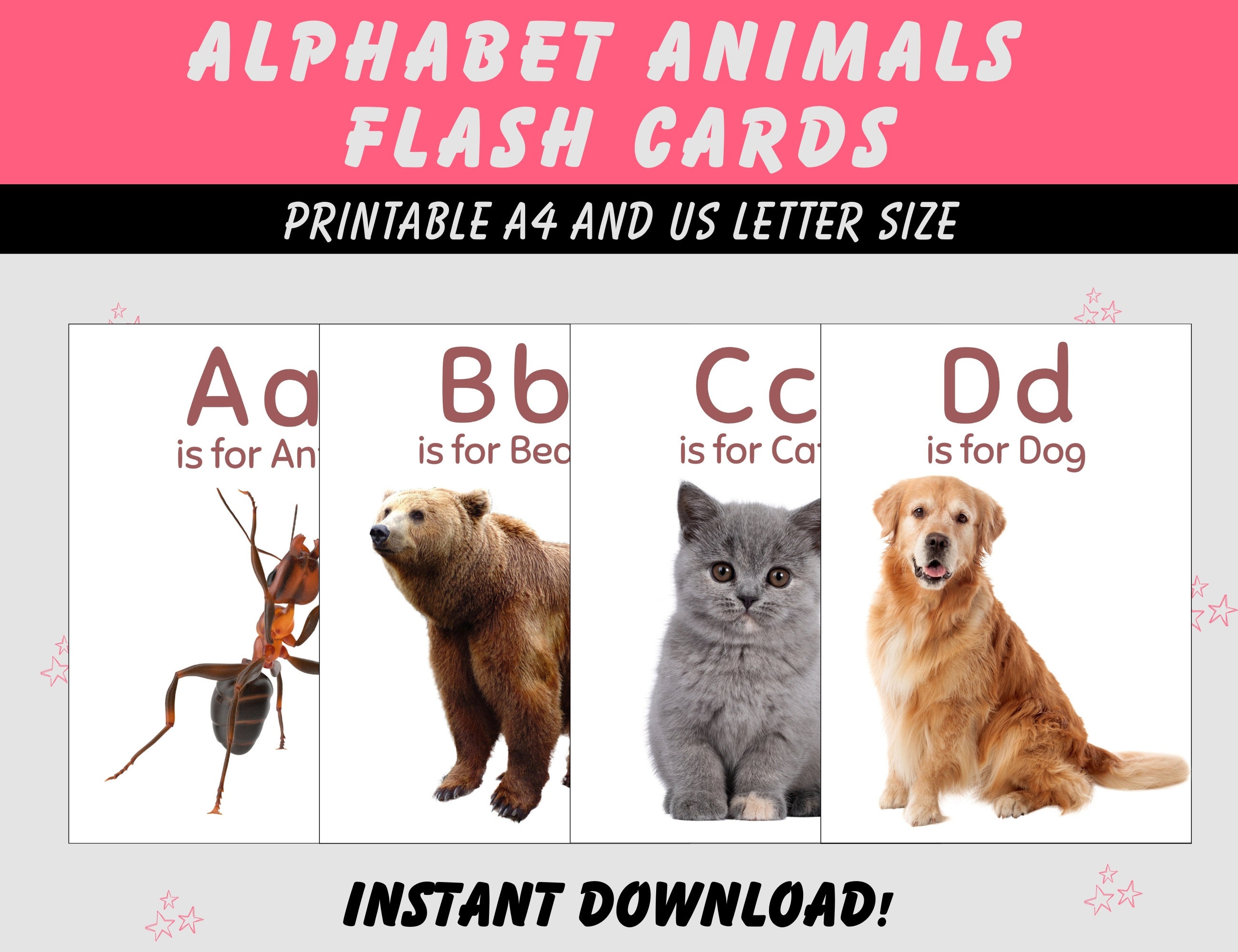 Printable Animal Alphabet Flashcards Preschool Alphabet Flash - Etsy