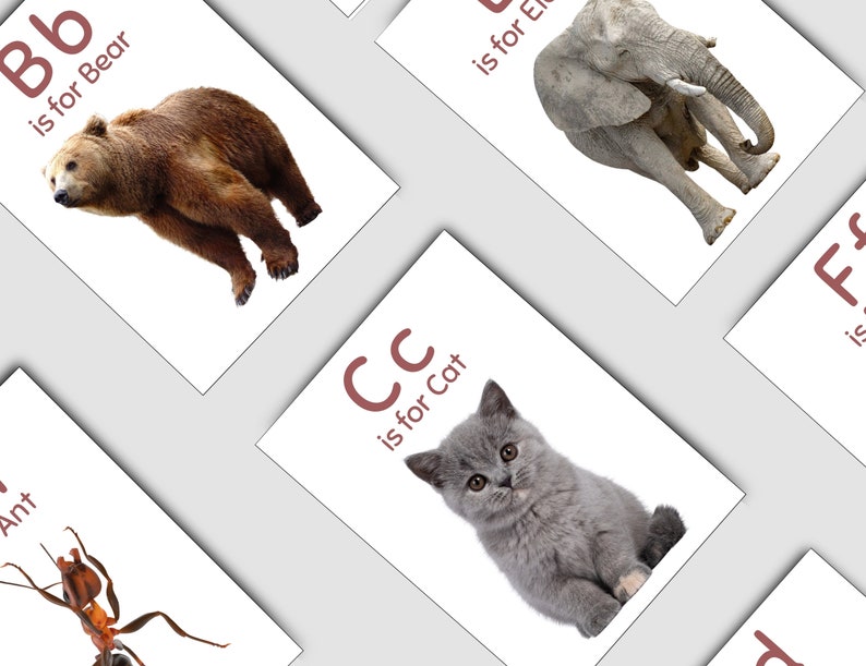 Printable Animal Alphabet Flashcards Preschool Alphabet Flash - Etsy