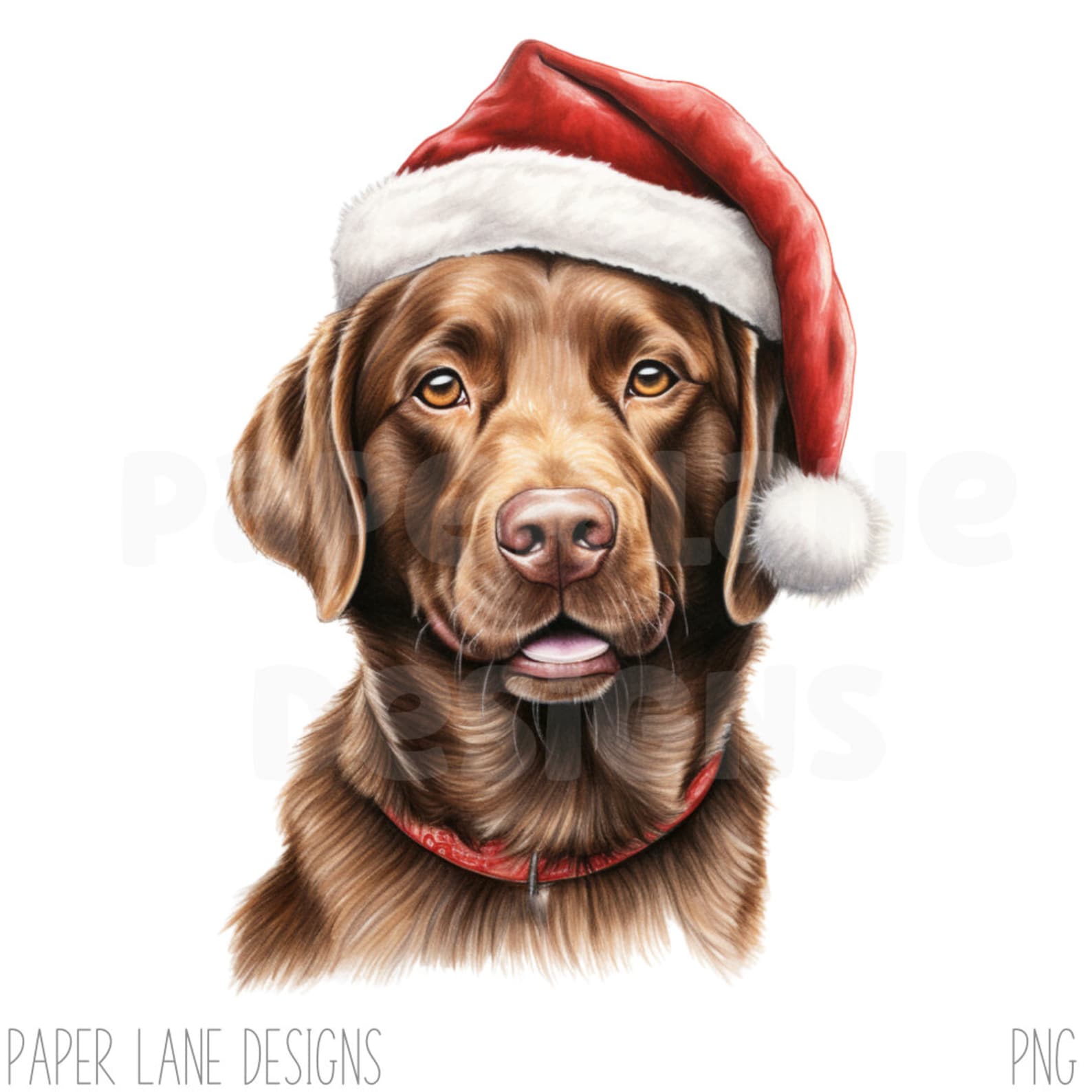 Chocolate Labrador Clipart Sublimation Christmas Brown Labrador Clipart ...