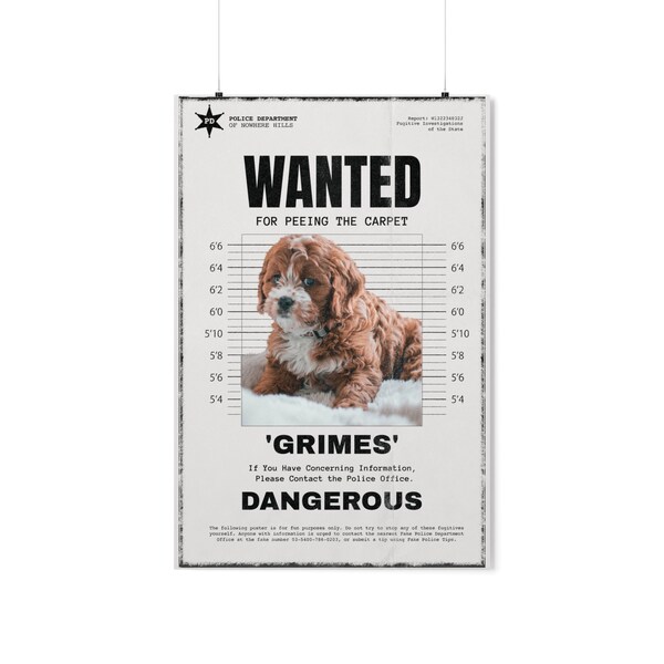 Wanted Poster - Etsy