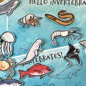 Marine Vertebrate and Invertebrate Matching Game Educational Sorting ...