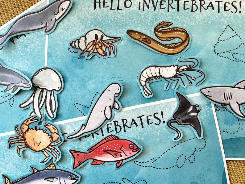 Marine Vertebrate and Invertebrate Matching Game Educational Sorting ...