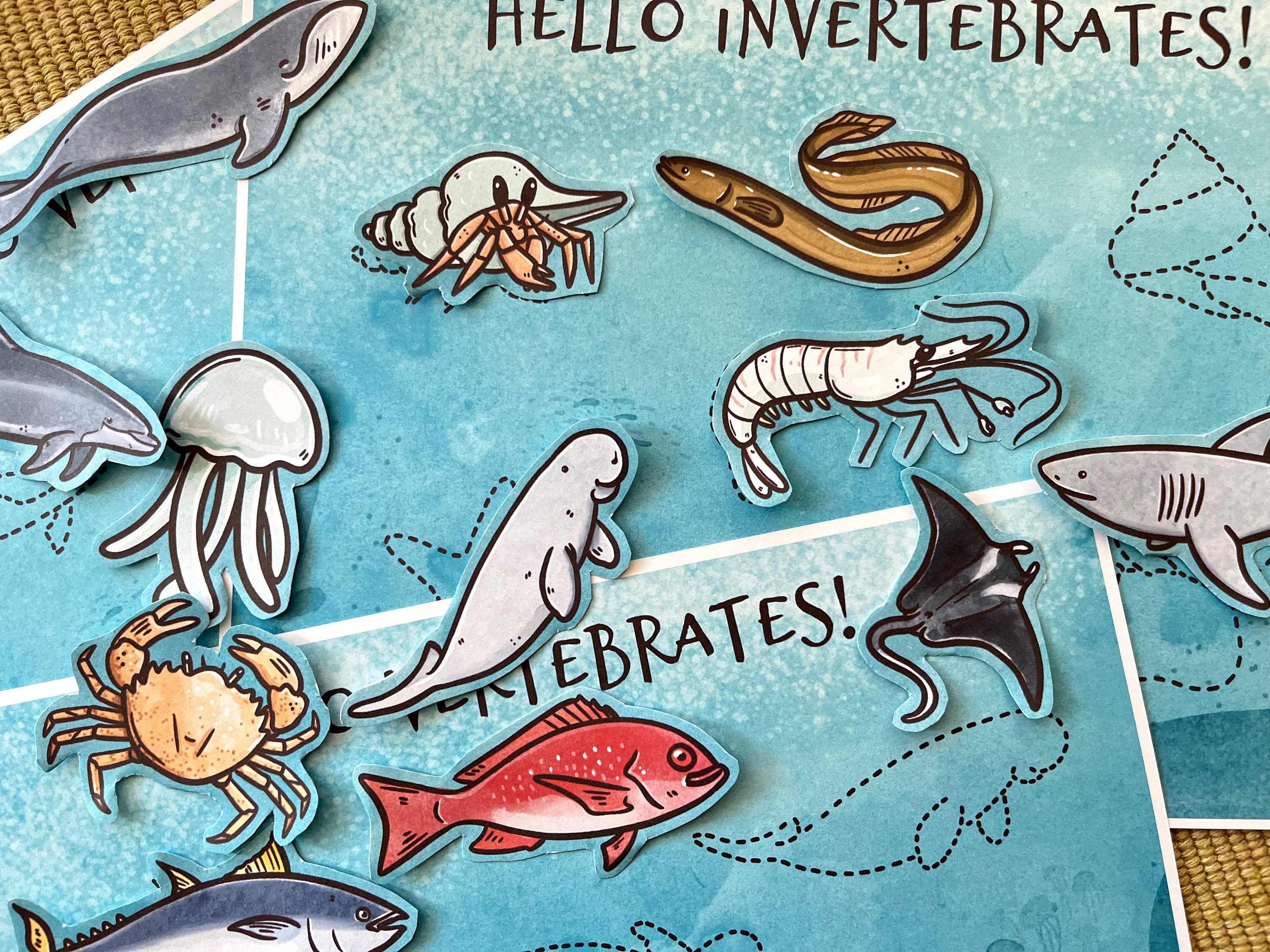 Marine Vertebrate and Invertebrate Matching Game Educational Sorting ...