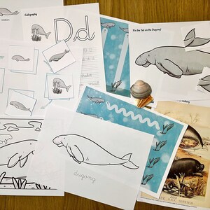 Dugong Unit Study Montessori Bilingual Summer Printables Life Cycle of ...
