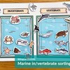 Activity for Sorting Vertebrate and Invertebrate Marine Animals ...