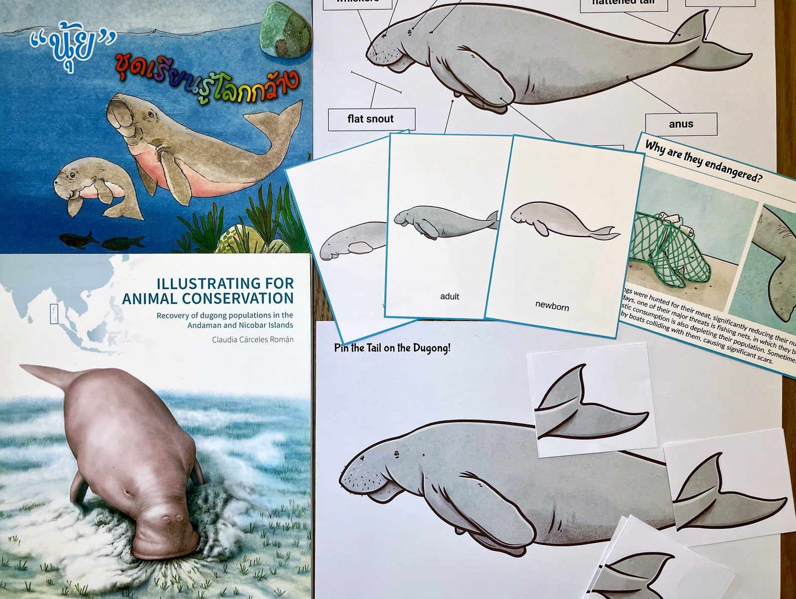 Dugong Unit Study Montessori Bilingual Summer Printables Life Cycle of ...