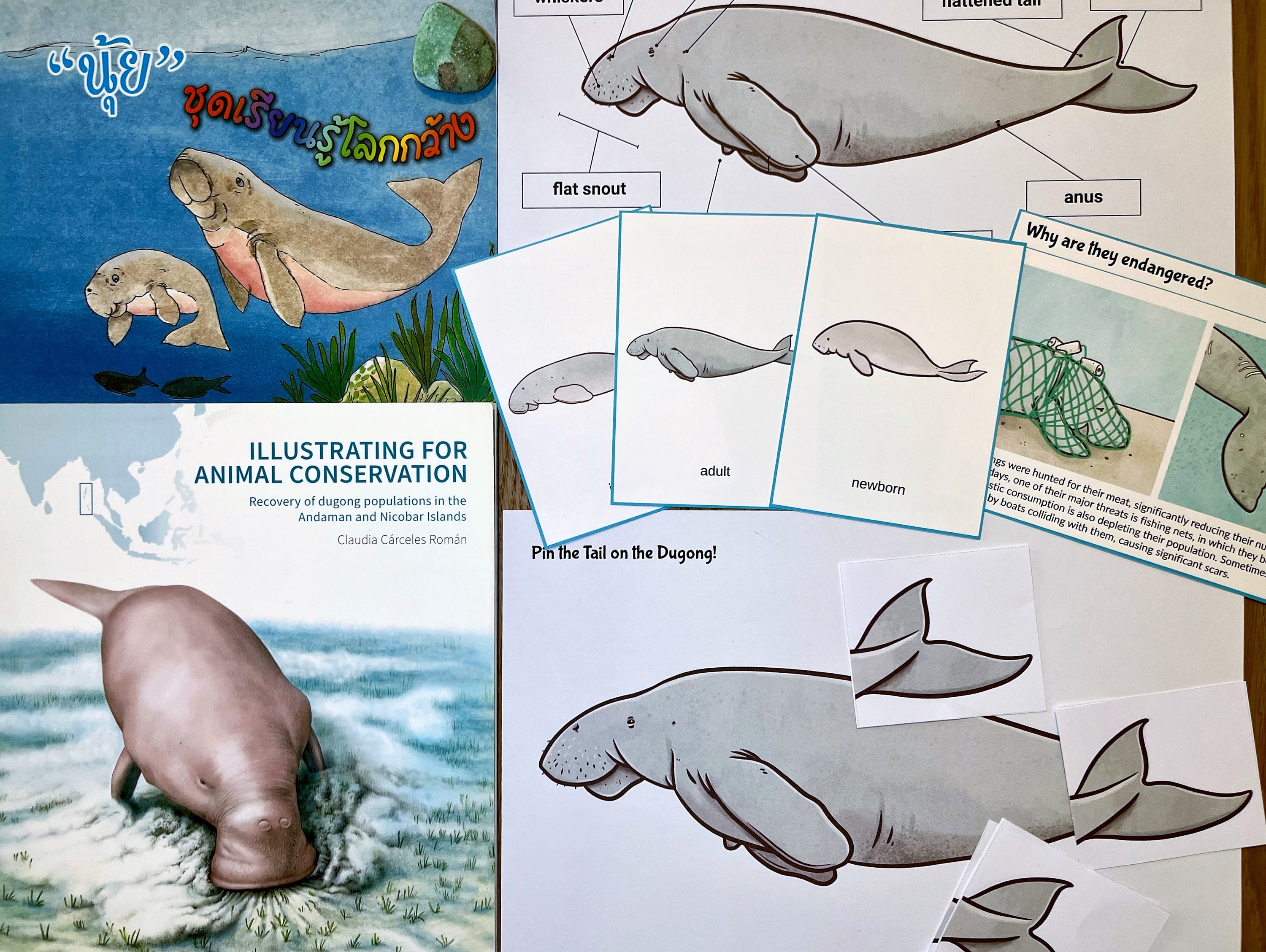 Dugong Unit Study Montessori Bilingual Summer Printables Life Cycle of ...