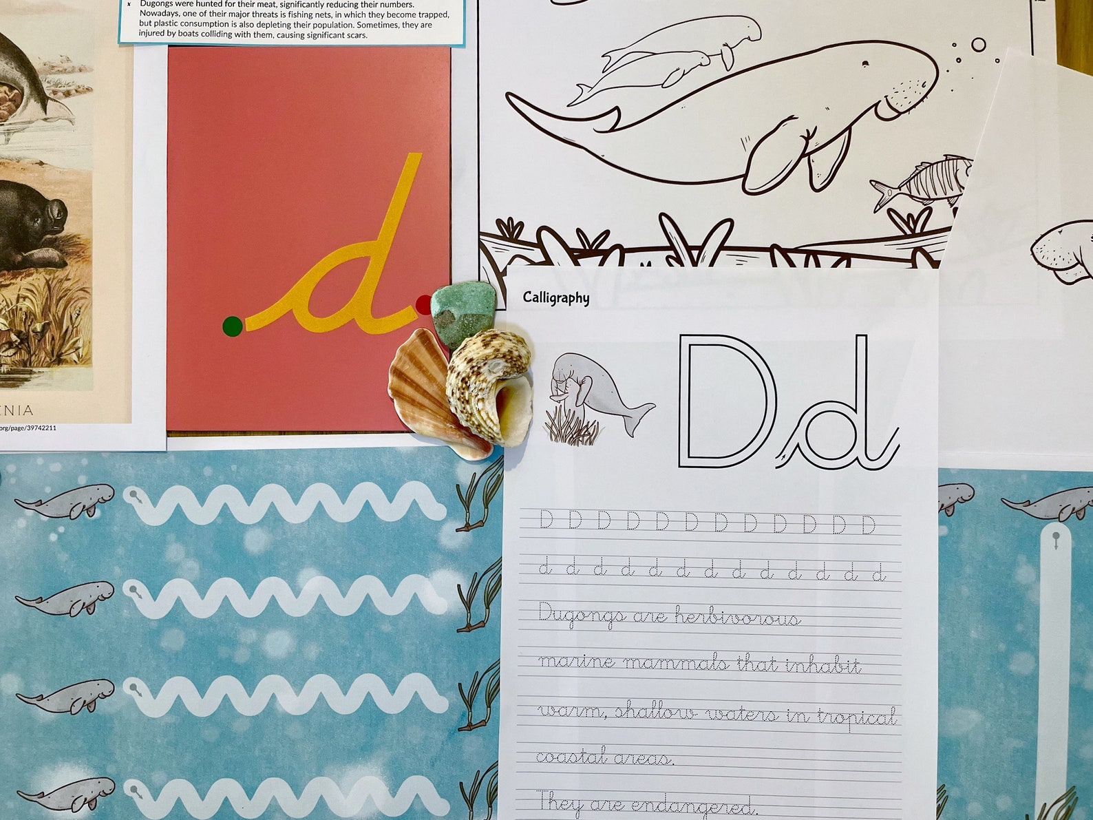 Dugong Life Cycle Bilingual Study: Montessori Homeschool Printable ...