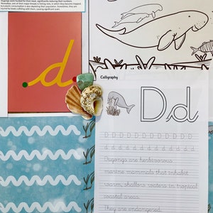 Dugong Life Cycle Bilingual Study: Montessori Homeschool Printable ...