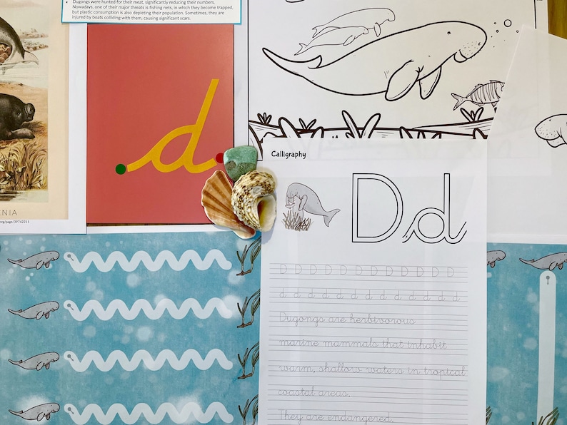 Dugong Life Cycle Bilingual Study: Montessori Homeschool Printable ...