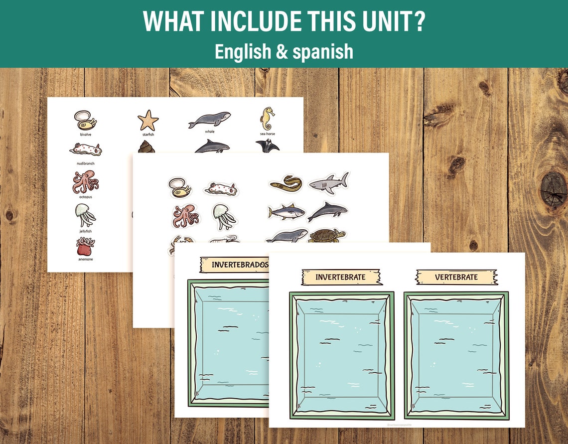 Activity for Sorting Vertebrate and Invertebrate Marine Animals ...