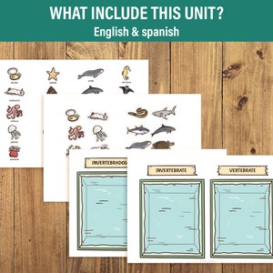 Activity for Sorting Vertebrate and Invertebrate Marine Animals ...