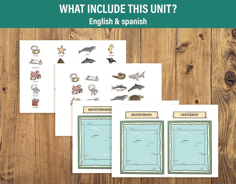 Activity for Sorting Vertebrate and Invertebrate Marine Animals ...