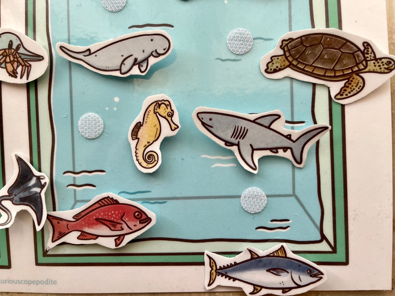 Activity for Sorting Vertebrate and Invertebrate Marine Animals ...
