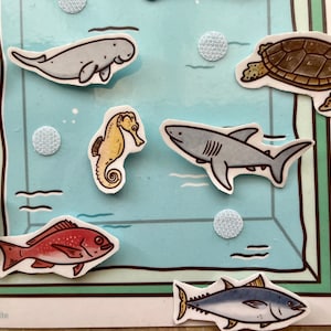 Activity for Sorting Vertebrate and Invertebrate Marine Animals ...