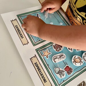 Activity for Sorting Vertebrate and Invertebrate Marine Animals ...