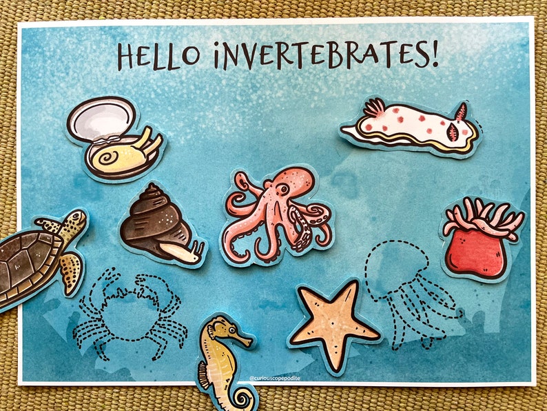 Marine Vertebrate and Invertebrate Matching Game Educational Sorting ...