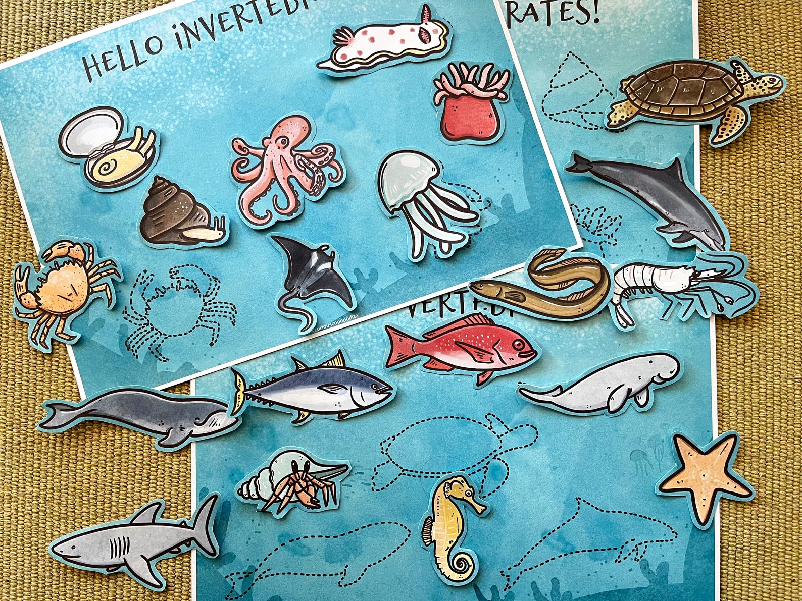 Marine Vertebrate and Invertebrate Matching Game Educational Sorting ...