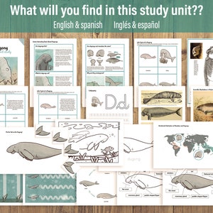 Dugong Unit Study Montessori Bilingual Summer Printables Life Cycle of ...
