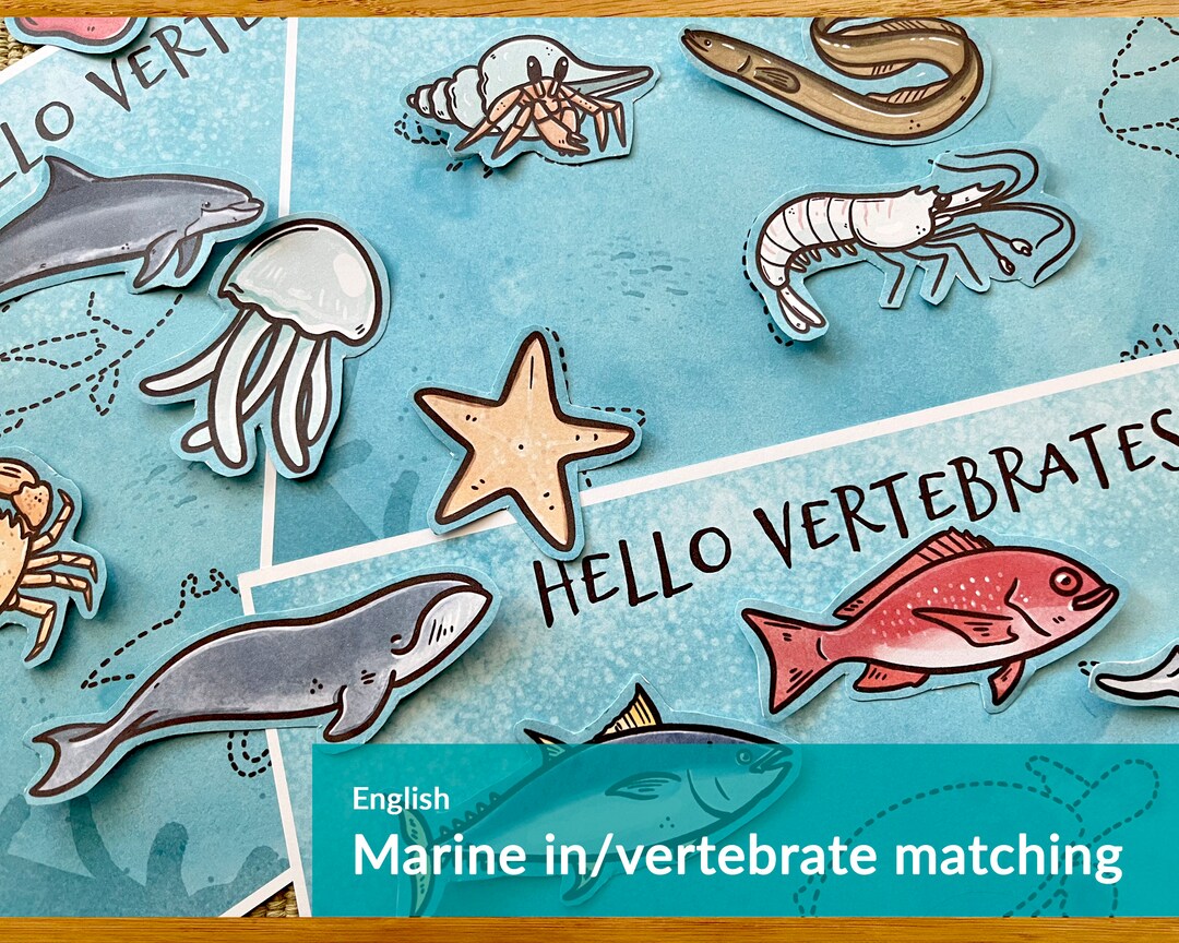Marine Vertebrate and Invertebrate Matching Game Educational Sorting ...