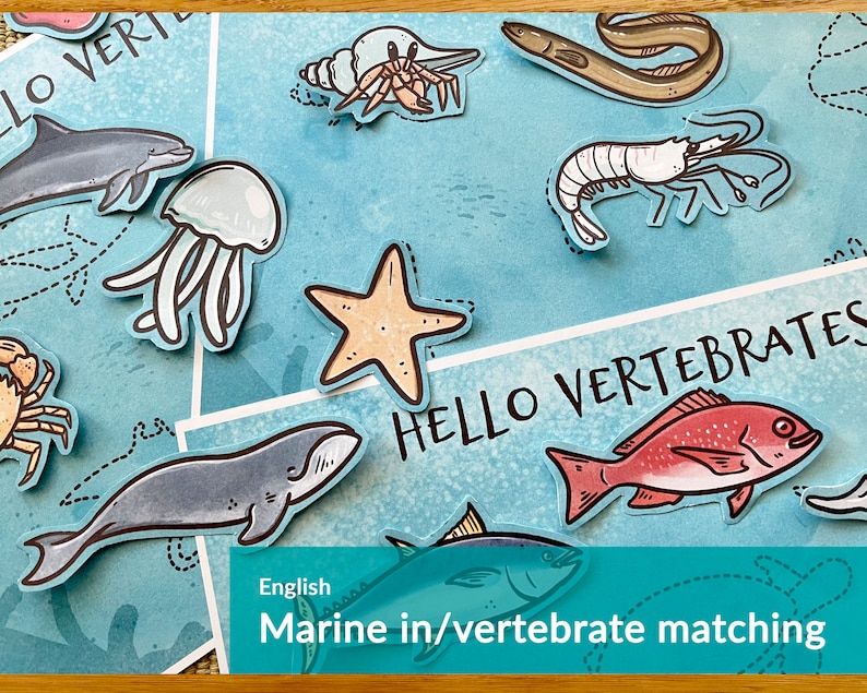 Marine Vertebrate and Invertebrate Matching Game Educational Sorting ...