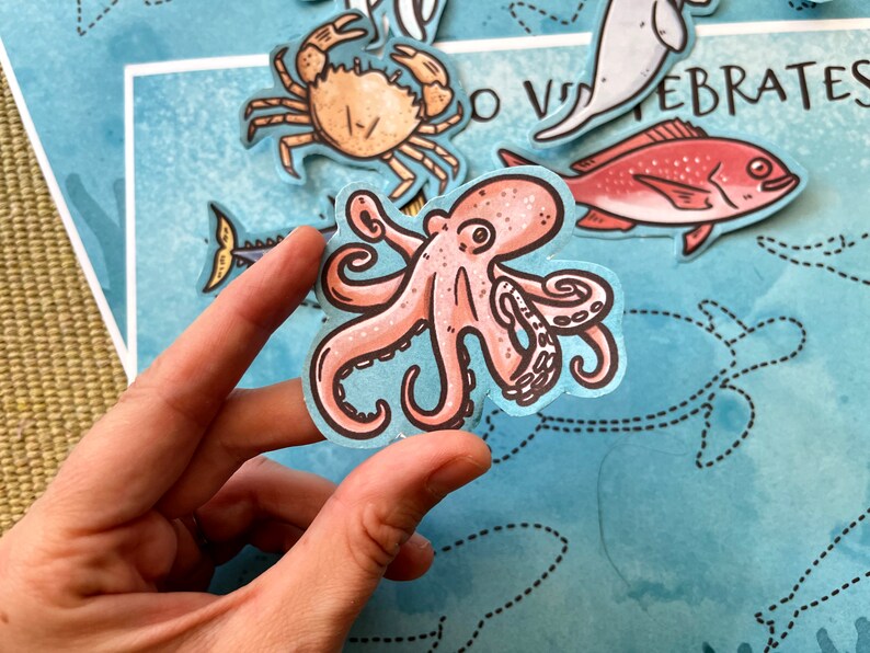 Marine Vertebrate and Invertebrate Matching Game Educational Sorting ...